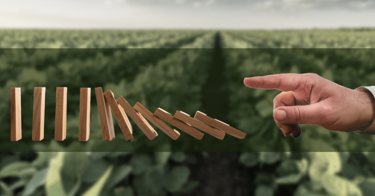 Infrastructure is the ‘first domino’ that will bring positive change to ...