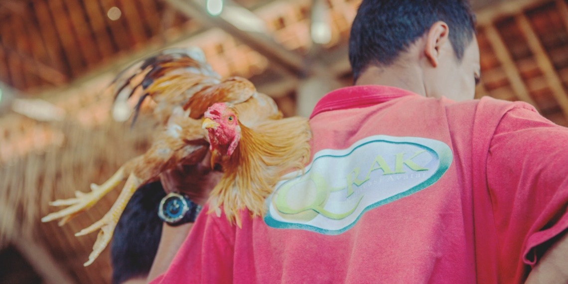 'Gov’t should earn more than e-sabong operators' - alanpetercayetano.com